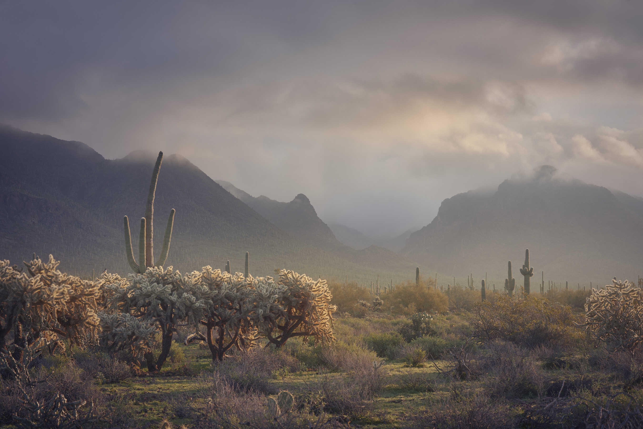 Arizona Landscape Photographer - Arizona Landscape Photography