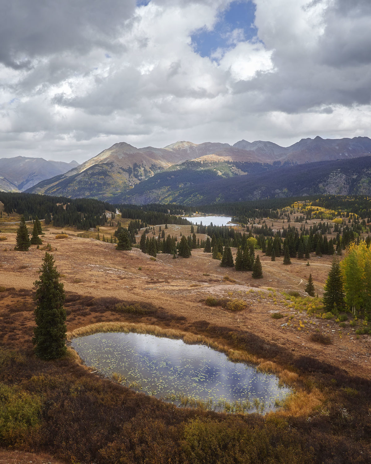 Colorado Landscape Photography - Photographing Fall Leaves in Colorado