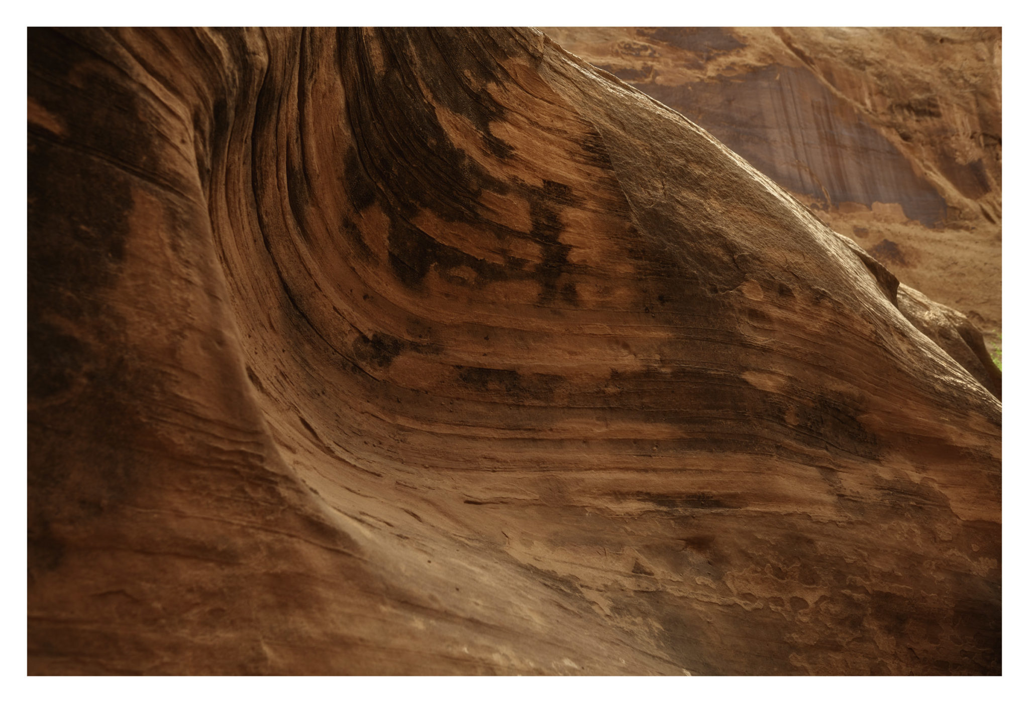 Utah Badlands: Pt. 1